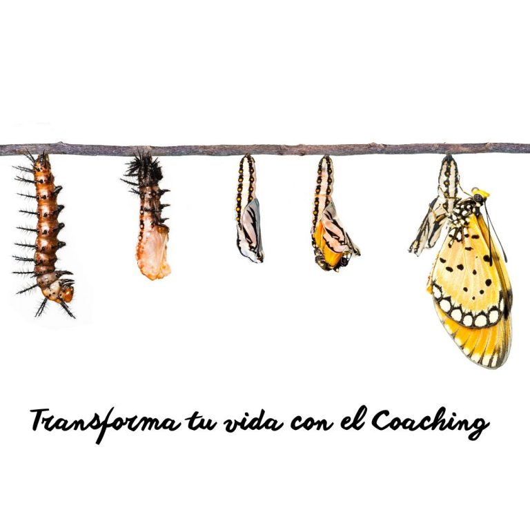 La Transformación de la Vida a través del Coaching